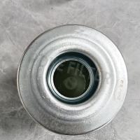 China 38310520/SH 55520/WG481 Hydraulic Filter Element Stainless steel With Spring for sale