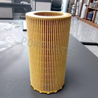China Paper ISO9001 Hepa Air Filter Element 1000141558 / SA 17334 / 16546LC50A for sale