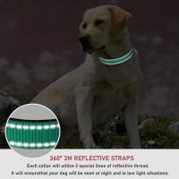 China Premium Reflective Dog Collar - Adjustable Safety Nylon Collar for All Dog Breeds for sale