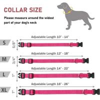 China Professional-Grade Reflective Dog Collar - Adjustable Nylon Pet Collar with Safety Features for sale