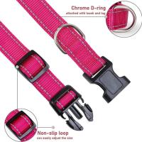 China Professional-Grade Reflective Dog Collar - Adjustable Nylon Pet Collar with Safety Features for sale