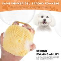 China 2-in-1 Pet Shower Brush with Shampoo Dispenser - Soft Silicone Massage Grooming Tool for Dogs and Cats for sale