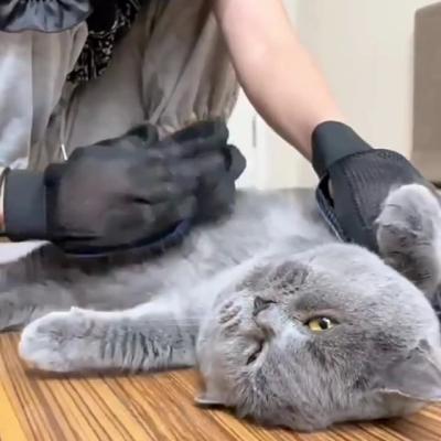 China Best-Selling Silicone Pet Grooming Gloves | Essential Pet Care Stock for sale