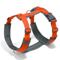 China Neoprene Padded Comfort Dog Harness XS-XL - Wholesale Pet Products for sale