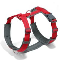 China Neoprene Padded Comfort Dog Harness XS-XL - Wholesale Pet Products for sale