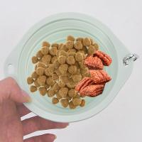 China Eco-Friendly Silicone Pet Bowl | Safe and Sustainable Feeding Solution for sale