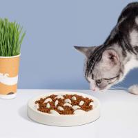 China Designer Slow Feed Pet Bowls - Stylish and Functional for Modern Pet Owners for sale