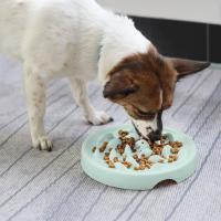 China Designer Slow Feed Pet Bowls - Stylish and Functional for Modern Pet Owners for sale