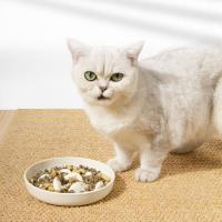 China Designer Slow Feed Pet Bowls - Stylish and Functional for Modern Pet Owners for sale