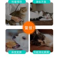 China Trendy Slow Feeder Bowls - Aligning with Current Market Demands for sale