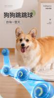 China Versatile Pet Toy Balls - Ideal for Enriching Playtime for sale