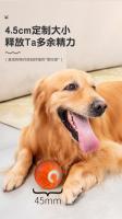 China Versatile Pet Toy Balls - Ideal for Enriching Playtime for sale