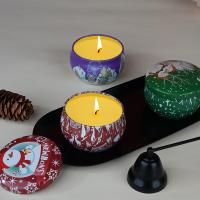 China Aromatherapy Soy Wax Candles Tin Scented Candle With Custom Scented Nature Scents Aroma for sale
