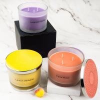 China Christmas Glass Jar Scented Fragrance Candles Natural Soy Wax And 3 Wicks for sale