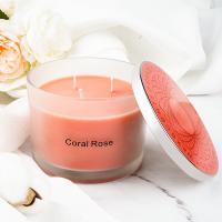 China Christmas Glass Jar Scented Fragrance Candles Natural Soy Wax And 3 Wicks for sale