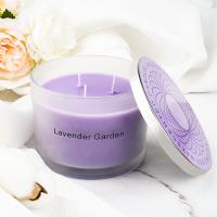 China Christmas Glass Jar Scented Fragrance Candles Natural Soy Wax And 3 Wicks for sale