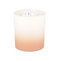 China Private Label Glass Jar Scented Candle Matte Glass Jar Soy Wax Scented Candle for sale