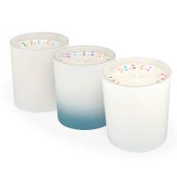 China Private Label Glass Jar Scented Candle Matte Glass Jar Soy Wax Scented Candle for sale