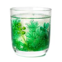 China Glass Jar Scented Candle Customized Logo Acceptable Creative Wax Jelly Aromatherapy Scented Glass Jar Candle for sale