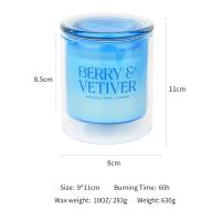 China Glass Jar Scented Candle April Fool's Day Occasion Double Wall Clear Transparent High Borosilicate Candles for sale