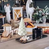 China DIY Aromatherapy Candles Wax Plaster Clay Decoration Bubble Christmas Tree Eik Deer Shape For Candle Making for sale