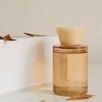 China Portable Essential Forest Mist 100ml Organic Household Fragrance Reed Diffuser Glass Bottle for sale