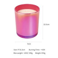 China Private Label Custom Glass Jar Scented Candle Luxury Pearlized Electroplate Candle for sale
