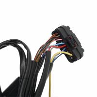 China 20495742 Auto Engine Wire Harness ISO9001 Automotive Electrical Harness 10pcs MOQ for sale