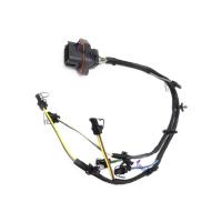 China 419-0841 Unit Injector Wiring Harness C9 Truck Engine Wiring Harness 12V for sale