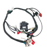 China OEM Motorcycle Wiring Harness Electronic Fuel Injector 12V 200pcs MOQ for sale