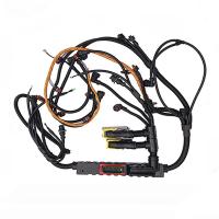 China 22020183 Engine Wire Harness Fittings for Truck Assembly 12V 24V Wiring Harness for sale