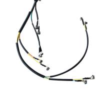 China 20495742 OEM Truck Wiring Harness for FM12 Engine 24V Heavy Duty for sale