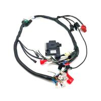China OEM Motorcycle Wiring Harness Electronic Fuel Injector 12V 200pcs MOQ for sale