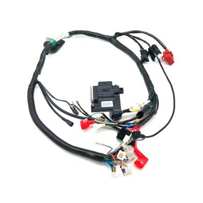 China OEM Motorcycle Wiring Harness Electronic Fuel Injector 12V 200pcs MOQ for sale