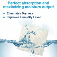 China 2-Pack Wick Filter Compatible With Duracraft DH821 DH822 DH822C DH823 DH824 Humidifiers for sale
