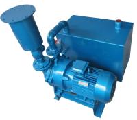China 5.5kw 7.5kw 11kw Water Cycle Woodworking Vacuum Pump 320m3/h for CNC Router for sale