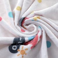 China 75X100cm Personalized Flannel Blanket Cartoon Fleece 100 Polyester Soft Blanket for sale