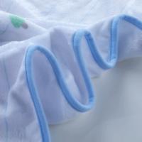 China Sublimation Custom Designs Plush New Born Baby Blanket Super Soft for sale