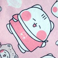 China Kids 100% Polyester Personalized Print Soft Cartoon Fleece Blanket for sale
