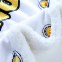 China 2 Layer Flannel Throw Blanket Bulk Diy Children Colourful 30X40 Inch 100 Polyester for sale