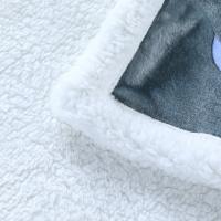China Fluffy Printing Personalized Flannel Blanket Micro Fiber 75X100cm 2 Ply Fleece Blanket for sale