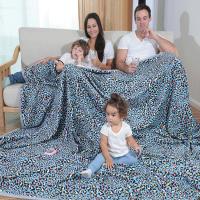China Huge Microfiber Fleece Blanket Double Layer Sofa Micro Flannel Sherpa Blanket for sale