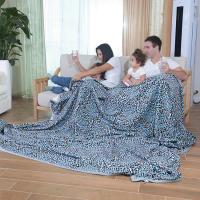 China Huge Microfiber Fleece Blanket Double Layer Sofa Micro Flannel Sherpa Blanket for sale