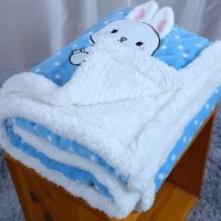 China Baby Micro Flannel Heated Blanket Gift Embroidery Double Ply Fleece Blanket for sale