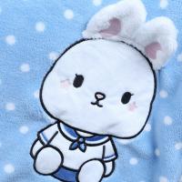China Baby Micro Flannel Heated Blanket Gift Embroidery Double Ply Fleece Blanket for sale
