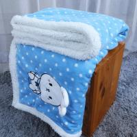 China Baby Micro Flannel Heated Blanket Gift Embroidery Double Ply Fleece Blanket for sale