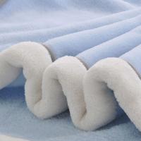 China Luxury Blue 30x40 Heavy Plush Throw Blanket Thick Flannel Fleece Baby For Baby Cot for sale