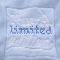 China Luxury Blue 30x40 Heavy Plush Throw Blanket Thick Flannel Fleece Baby For Baby Cot for sale