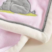 China Colourful Soft Newborn Blanket Fade Resistant Embroidery Animal Print Plush Blankets for sale