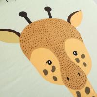 China Unisex Giraffe 2 Ply Super Soft Blanket Toddler Polyester Newborn Plush Blanket for sale